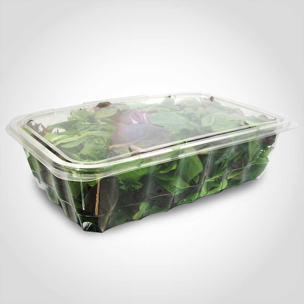 Spring Mix Lettuce Container - 152/case | Produce Containers