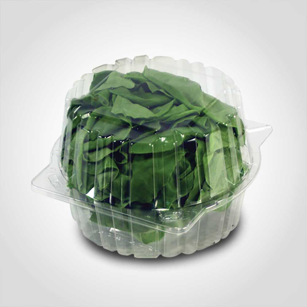 Lettuce Container Hinged - 420/case | Produce packaging