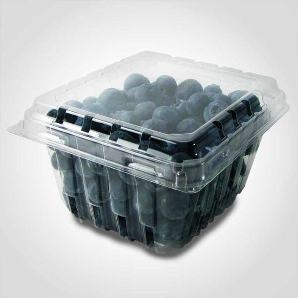 Produce Container | 1 Pint Vented Clamshell Container