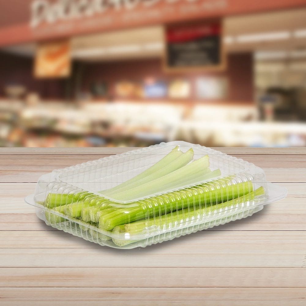 Supermarket Containers | Shallow Container 9.4 x 6.75 x 2.2